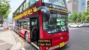 서울! 이 아름다운 도시를 가장 편안하게 즐기는 '타이거 버스'... Tiger Bus